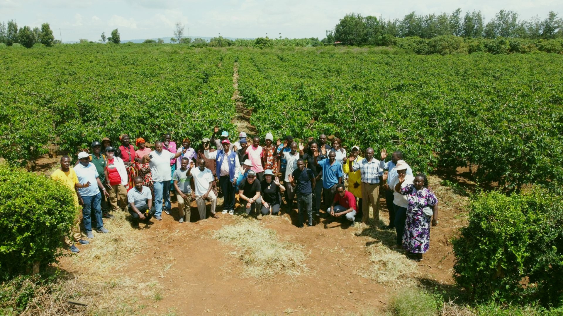 Wholesale | Solai Coffee