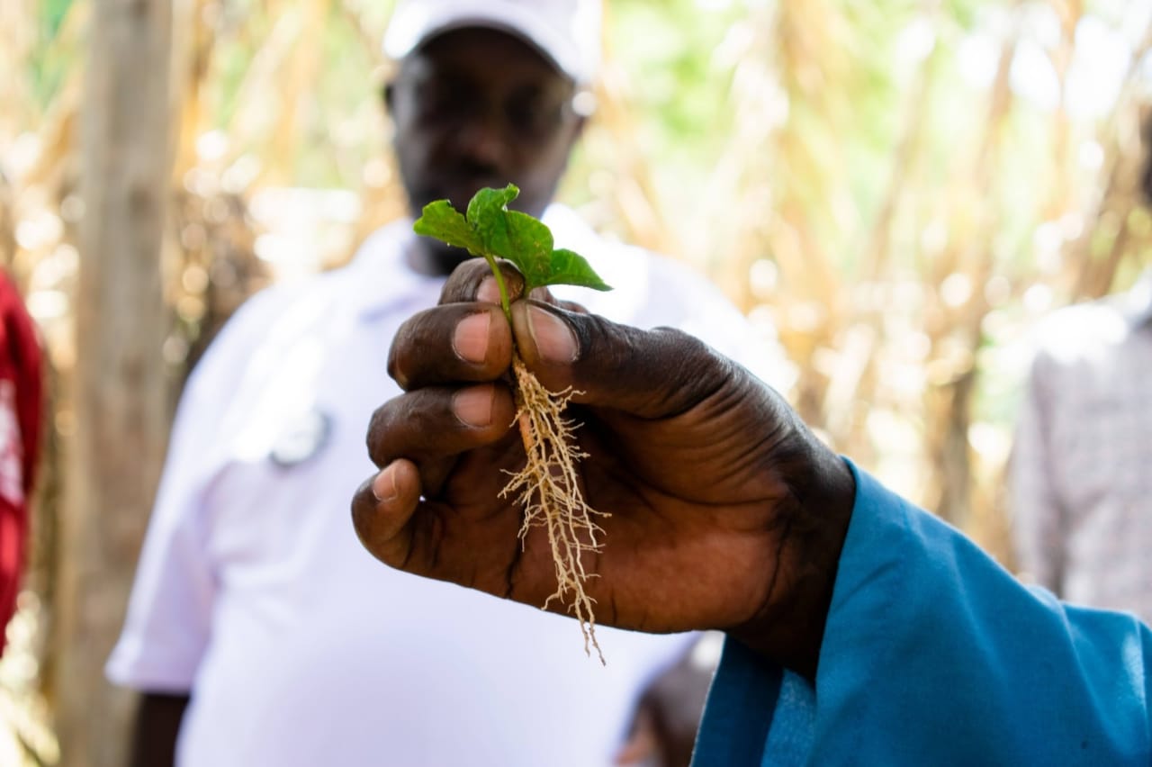 Solai Coffee Farm Tour & Magical Kenya Exploration
