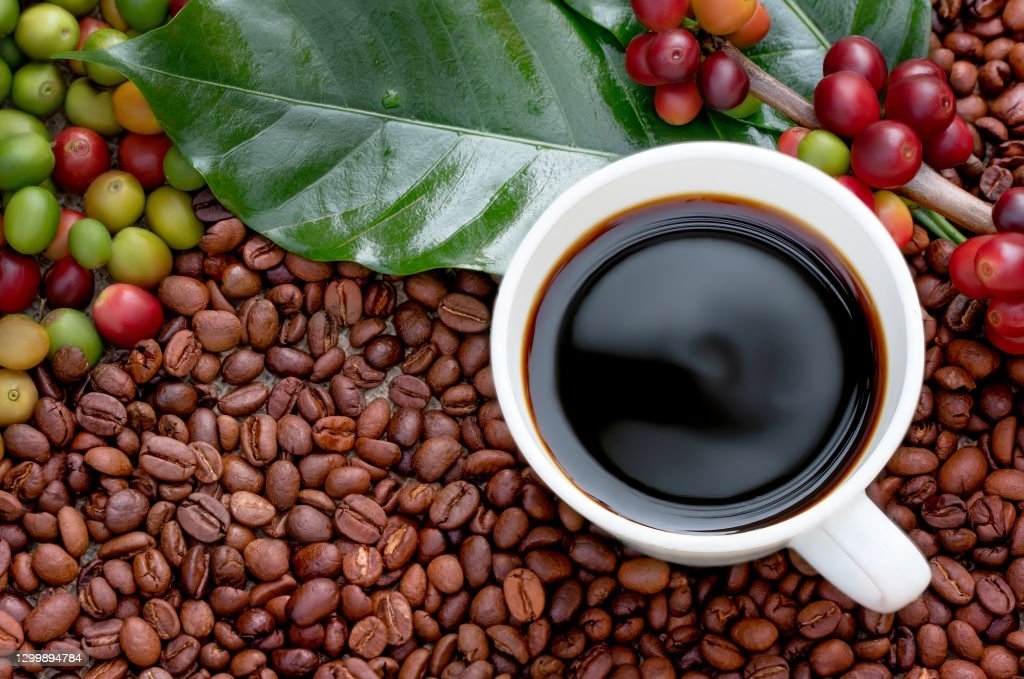 History of Coffee | Solai Coffee