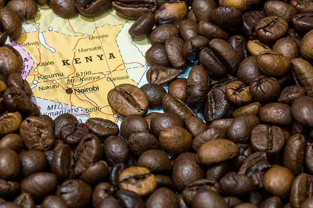 Kenya Coffee History Solai Coffee